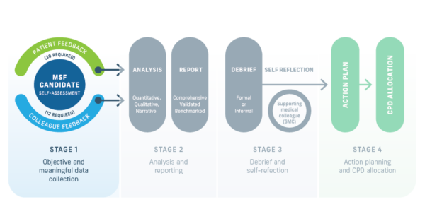 The four stages of Multi-Source Feedback | CFEP Surveys